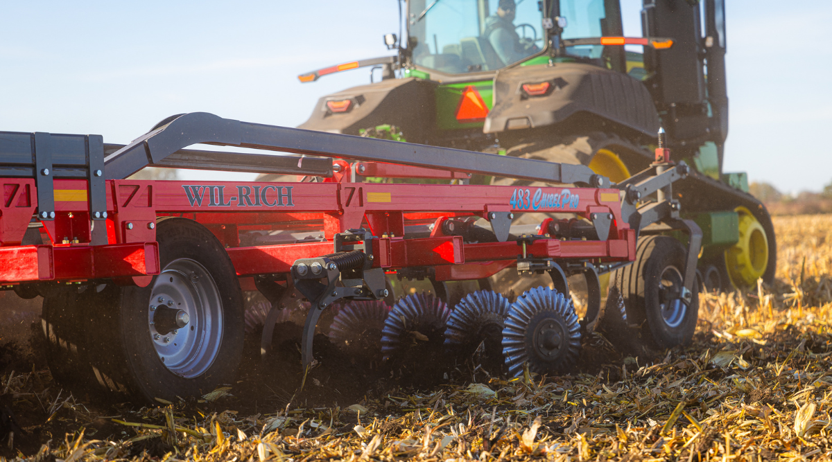 Importance of Fall Weed Control