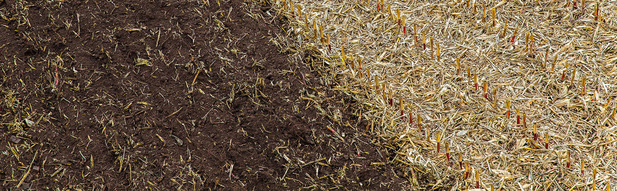 Tandem discs | Väderstad