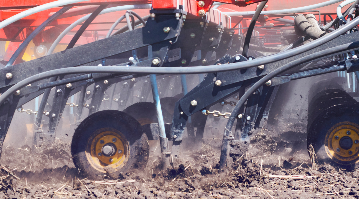 Optimizing Seeding Depth for Consistent Crop Stand and Survivability